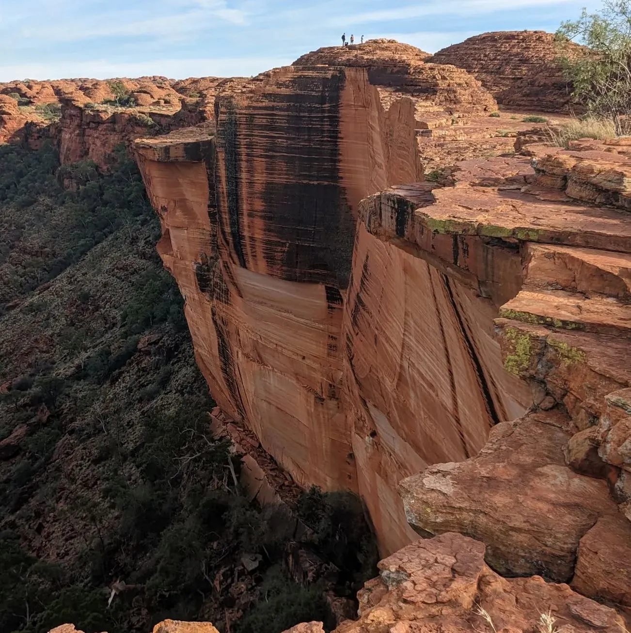 Is Kings Canyon Worth Visiting? Stunning Views & Top Tips